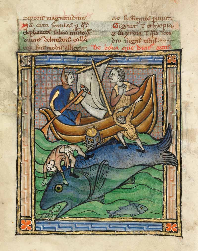 Lionizing the Bestiary | Fine Books & Collections