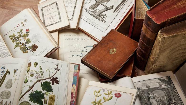 The Botanical Library of Olle Wallin to Auction